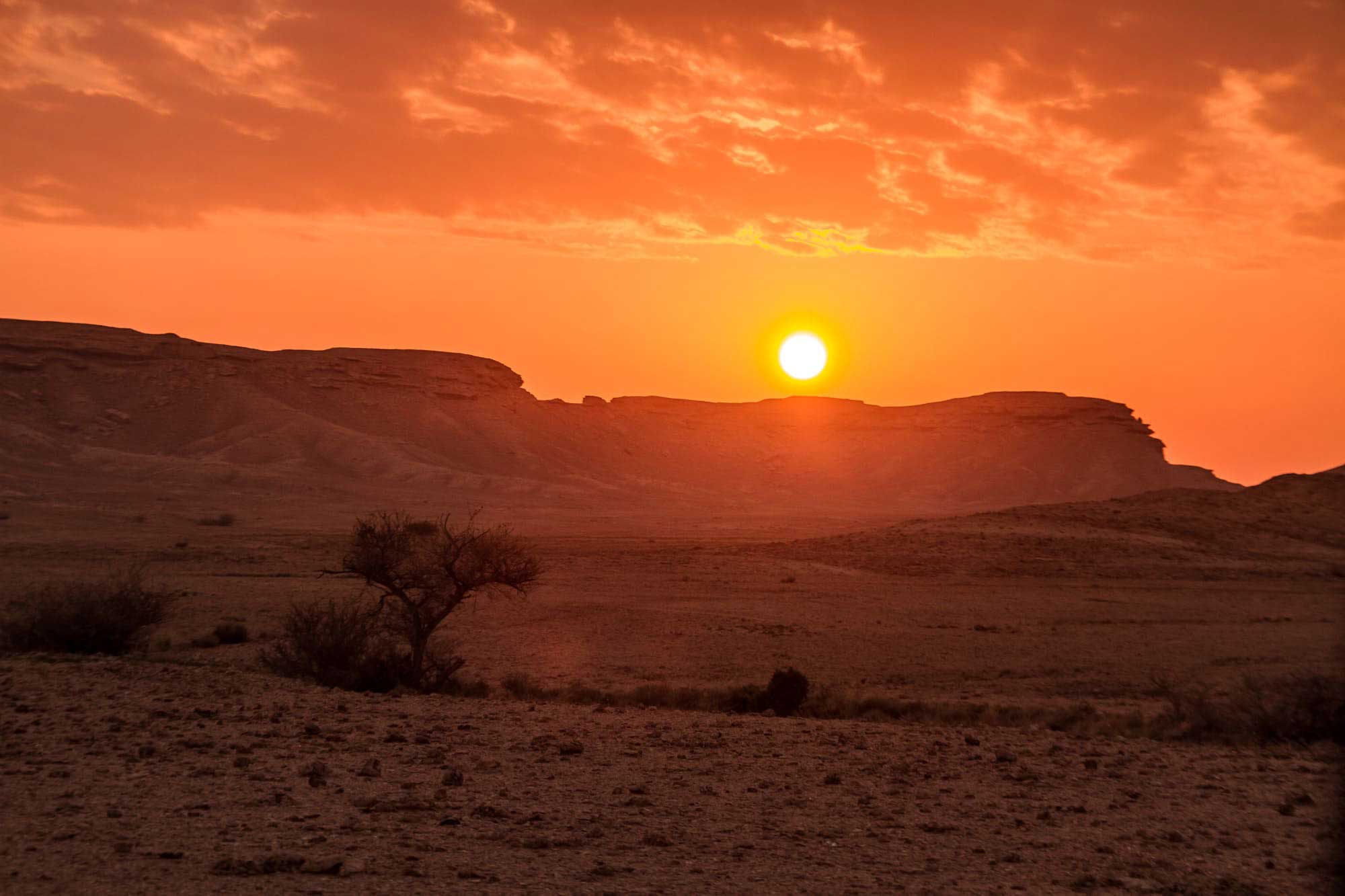 Race Week: The who, what, when, where and why of the Desert X Prix ...