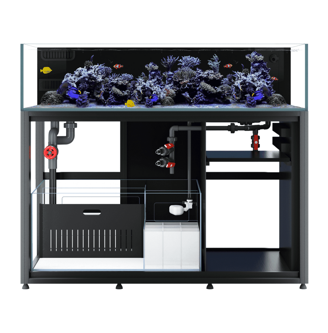 Frag Aquarium Range | Cade Aquariums