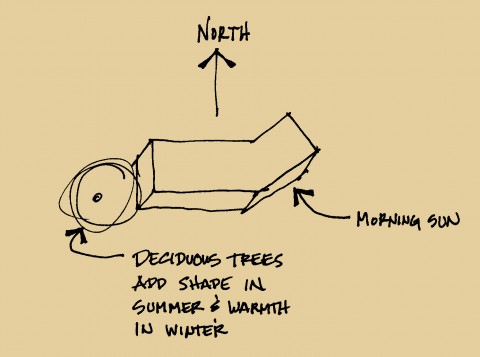Architecture for Specific Sites 3: Sun Orientation and Control ...