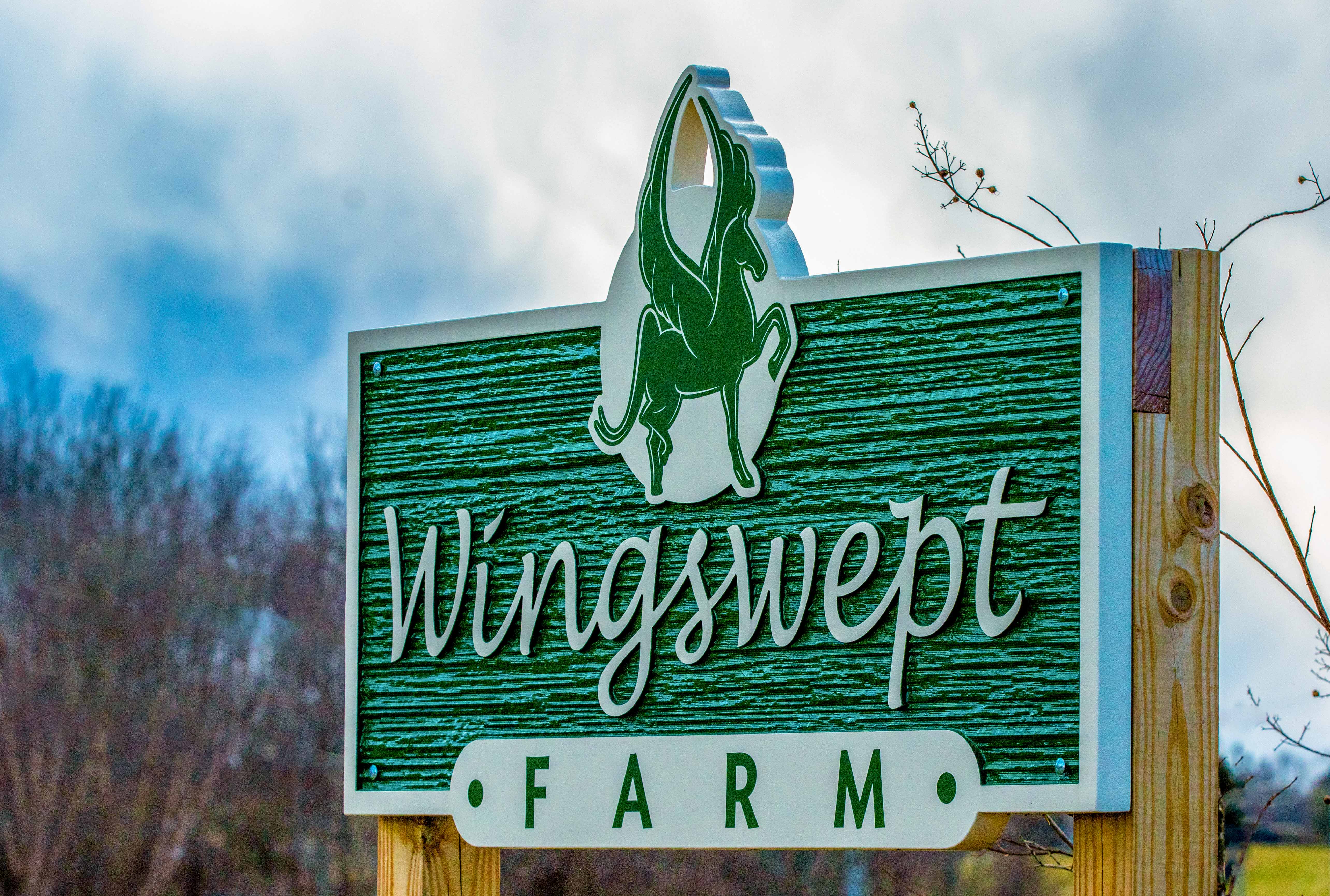 Wingswept Farm