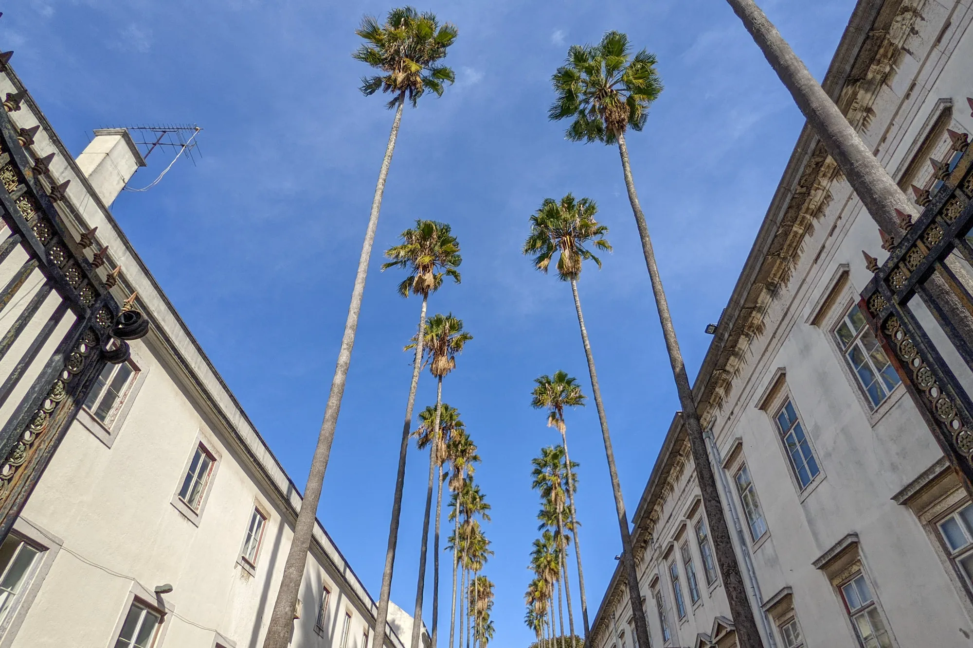 Memmo Príncipe Real, Lisbon - Handpicked by JO&SO