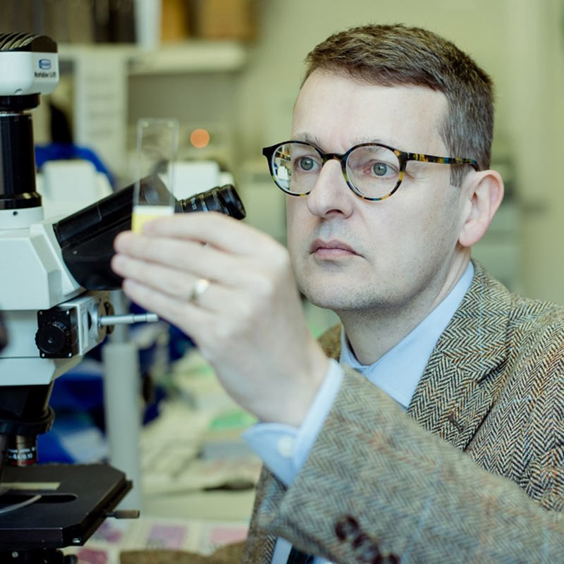 Meet the Diagnexia Experts