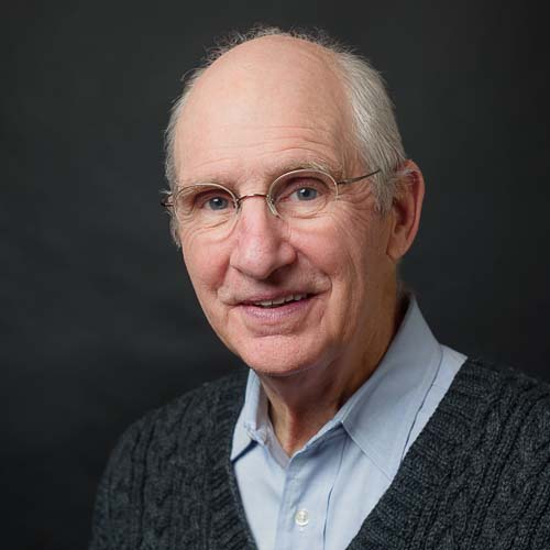 Faculty | People | IDSVA