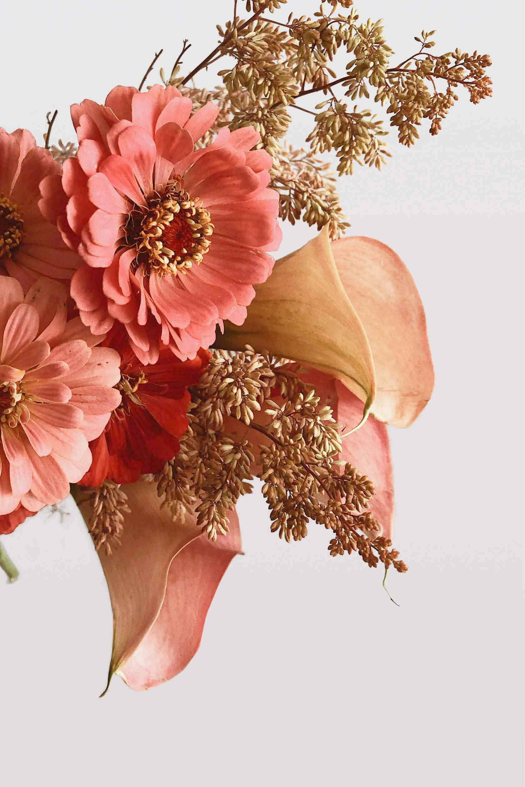 Welcome to Little Hill Flower Farm | Cut Flowers & Bouquets | Vincennes ...