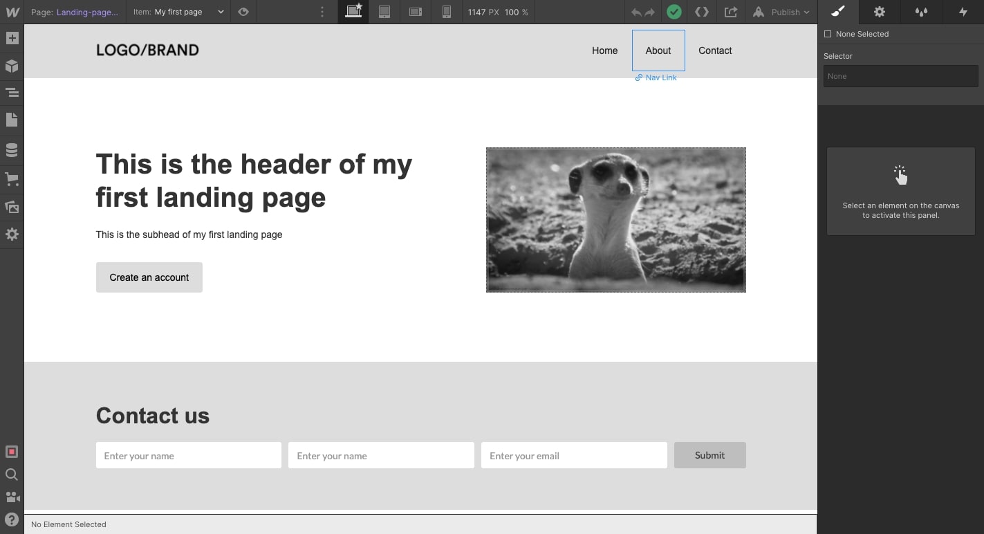 6 outstanding design system examples you can clone for free | Webflow Blog