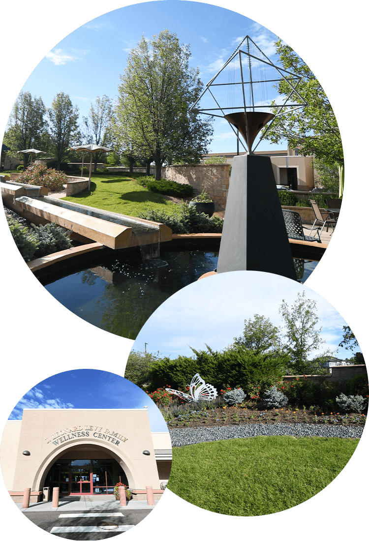 Shalom Park: The Park