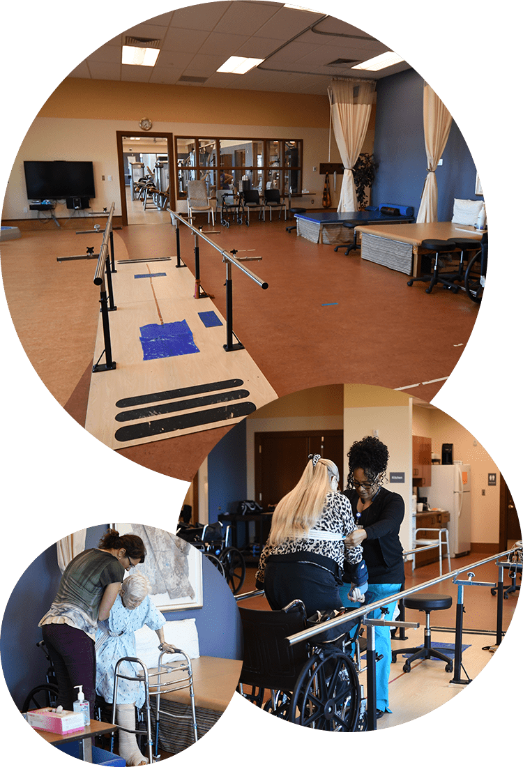 Shalom Park: Rehabilitation Services