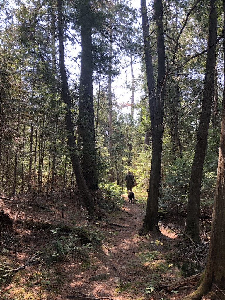 Earthroots pushes back as the Province further erodes endangered ...