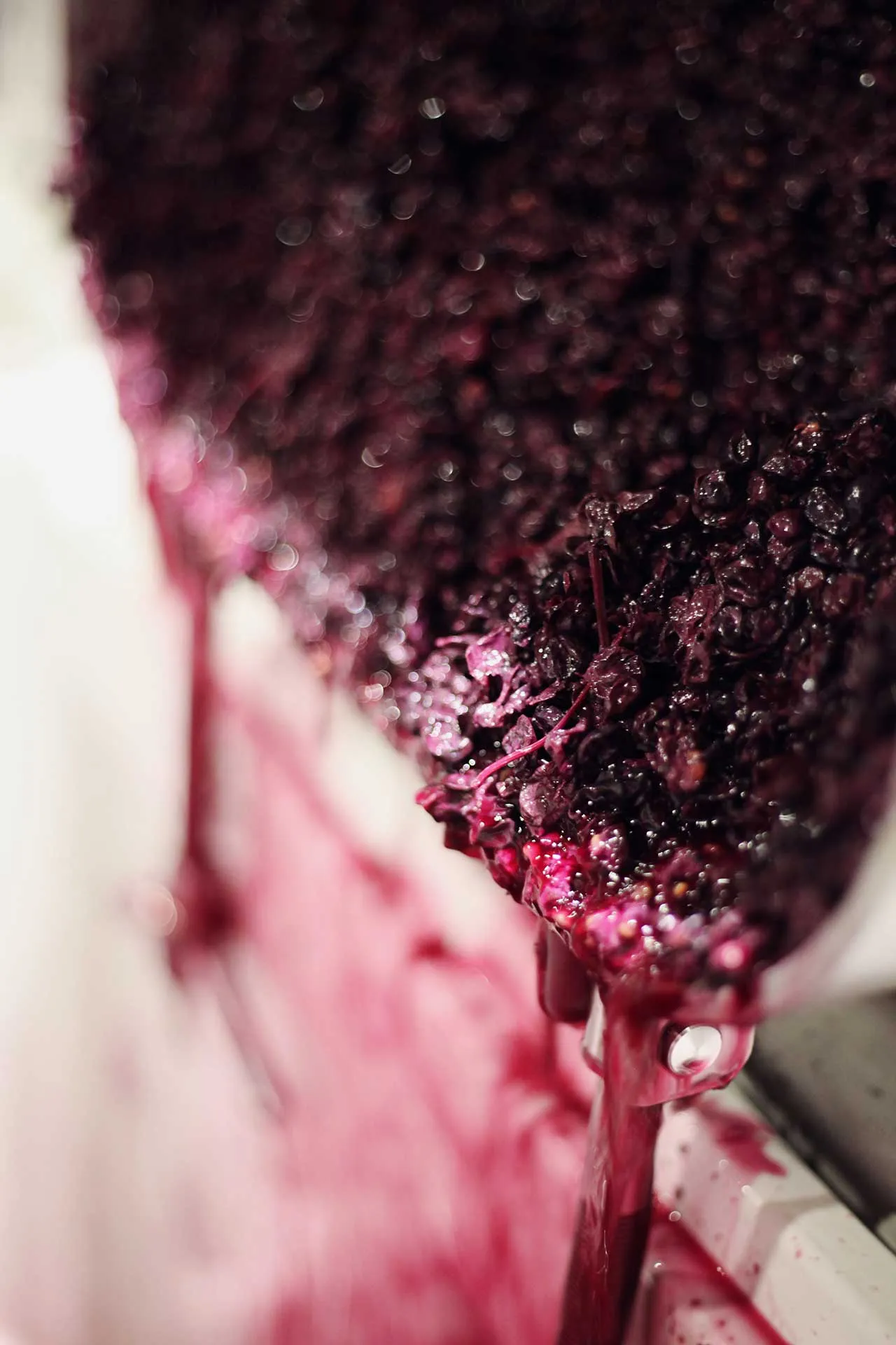 Zonzo—A Yarra Valley Winery, Restaurant & Wedding Venue