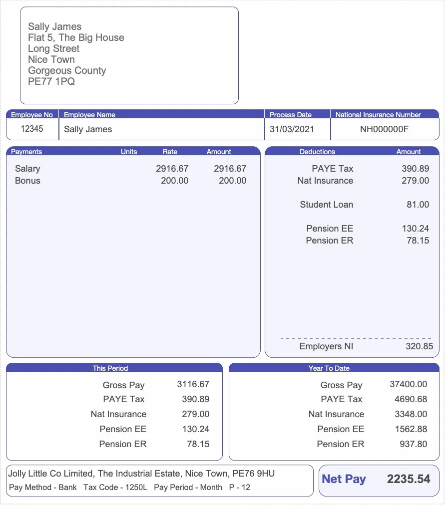Replacement Payslips | Free Samples | 30 Minute Service