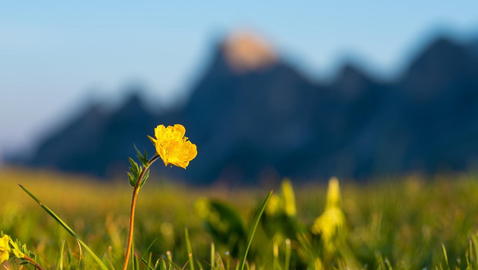 AI and IIoT, Part 1: Challenges of applying Artificial Intelligence in ...