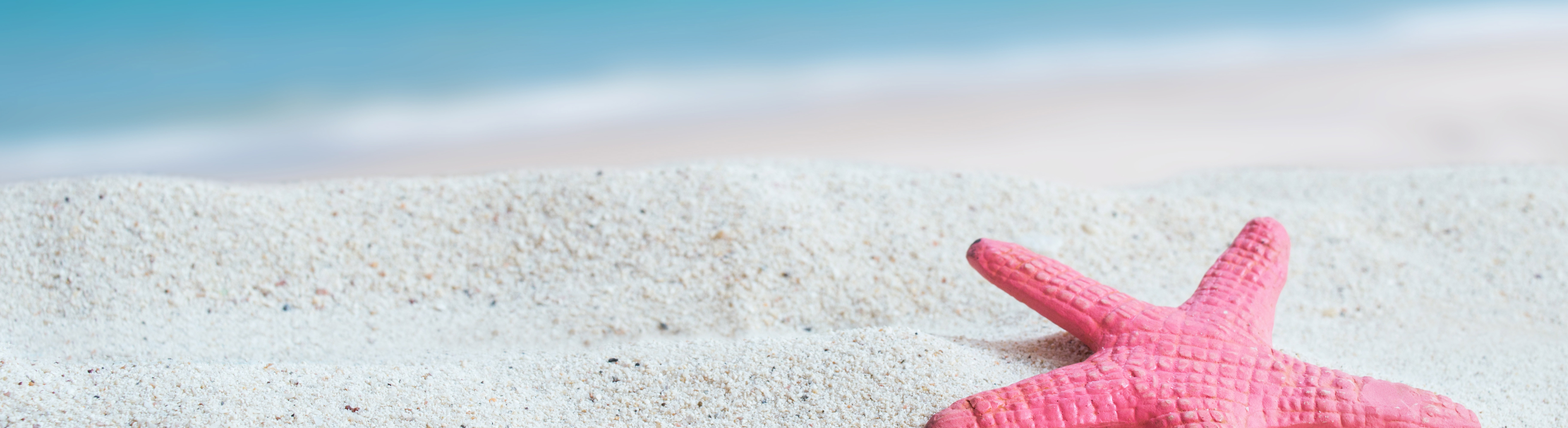 Blog: 8 Ways to Stay Safe During Spring Break