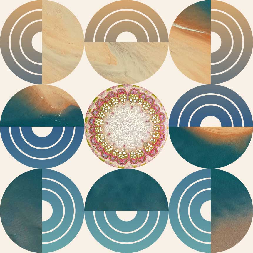 Cambrian Bio | Catalyzing breakthroughs