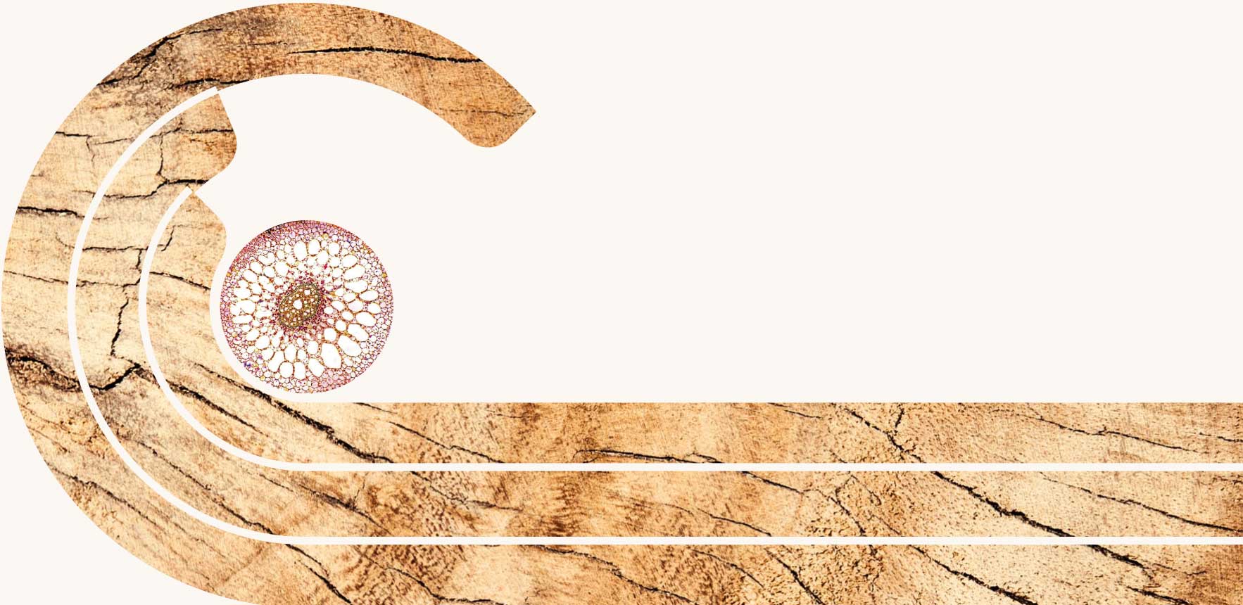 Cambrian Bio | Catalyzing breakthroughs