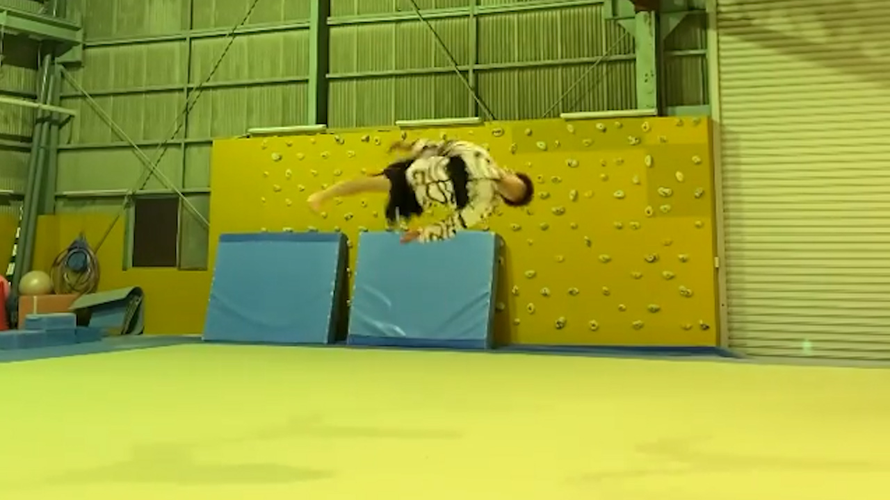 Dragonfly Corkscrew Sidewinder Late Round