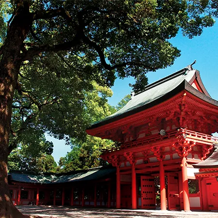 Choose Your Plan - Sakuraco