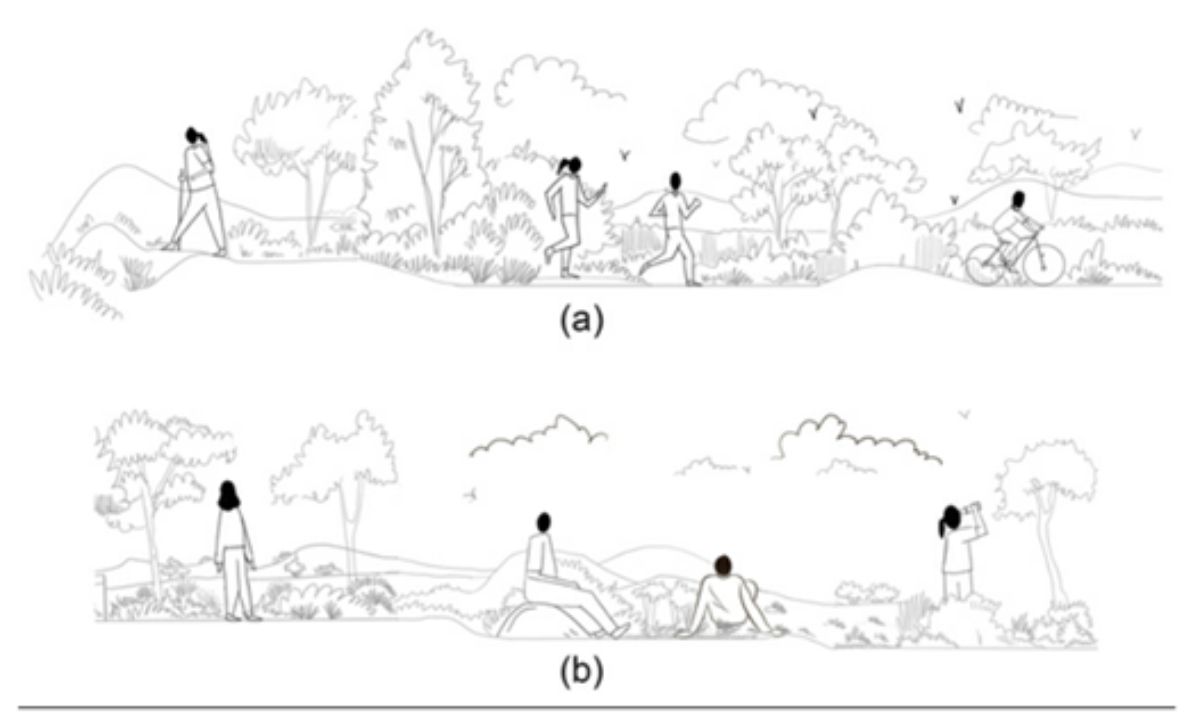 Book Review: Neuroscience for Designing Green Spaces | AJLA