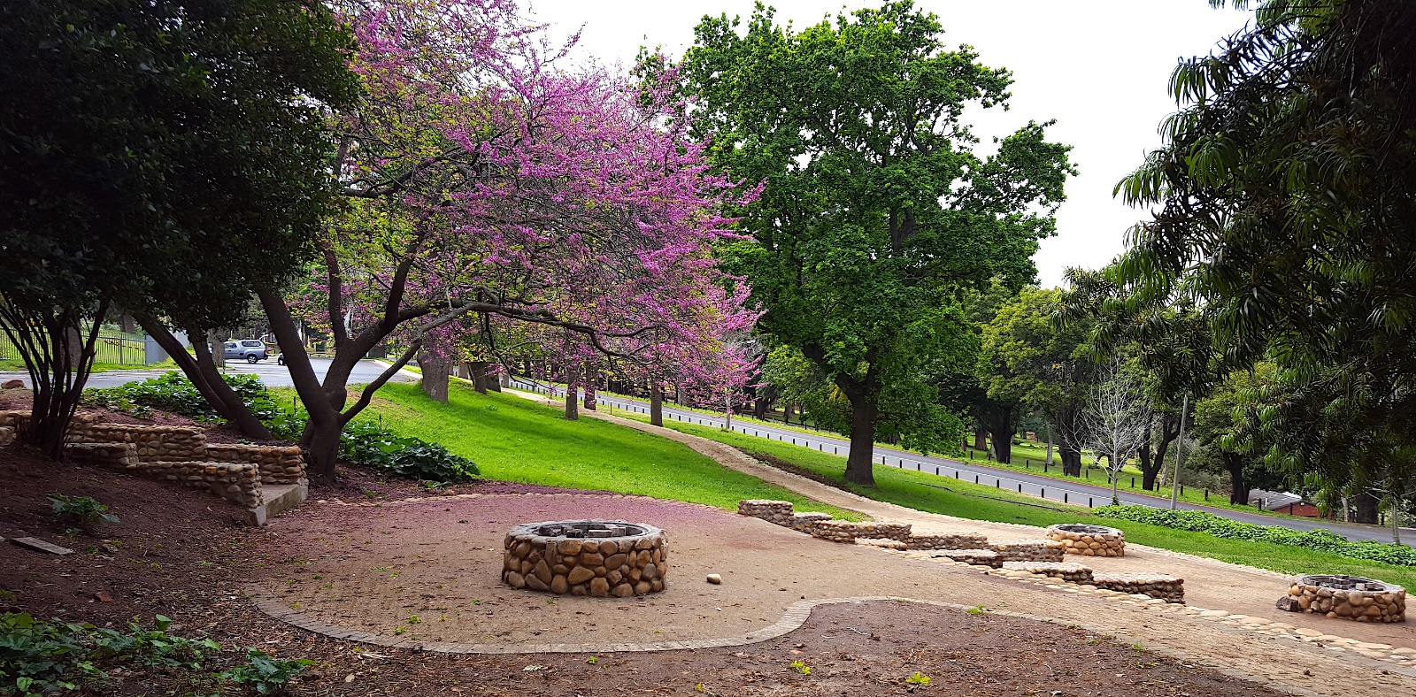Regional Parks for Social Cohesion in the City of Cape Town | AJLA