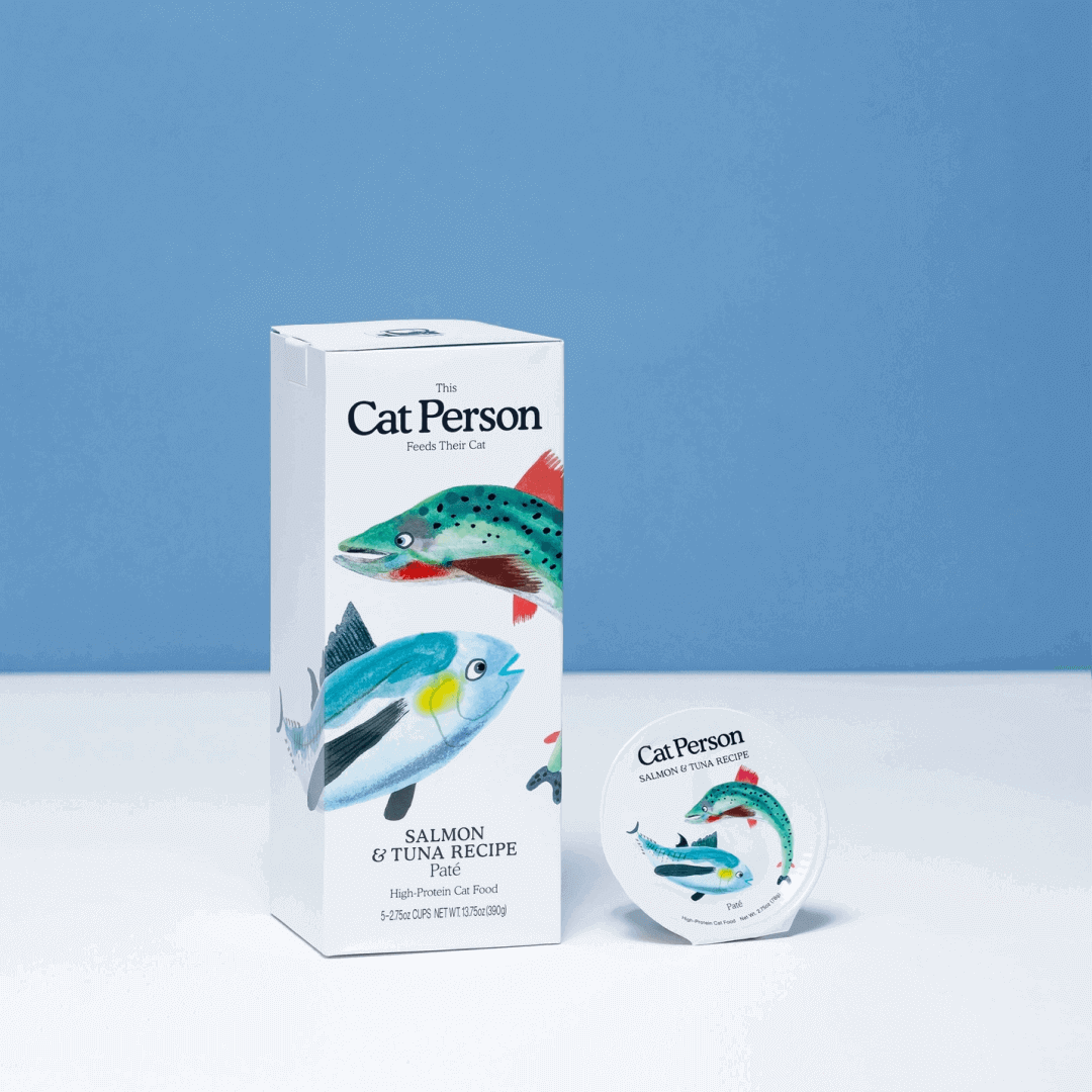 Cat Person Details and Review (2024)