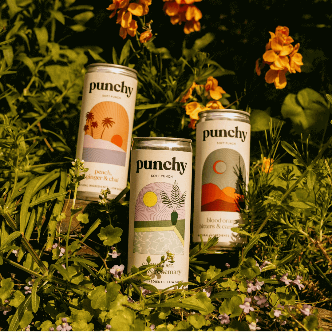 Punchy Details and Review (2024)