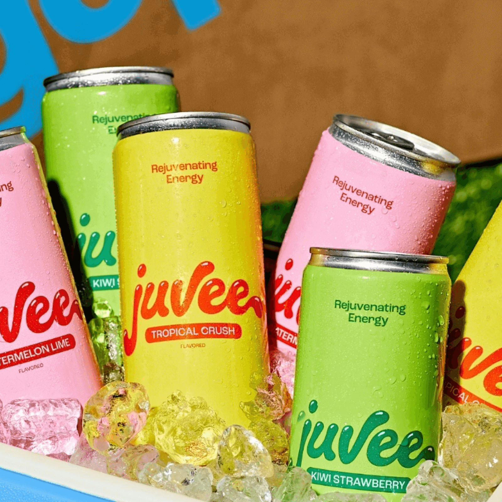 Juvee Details and Review (2024)