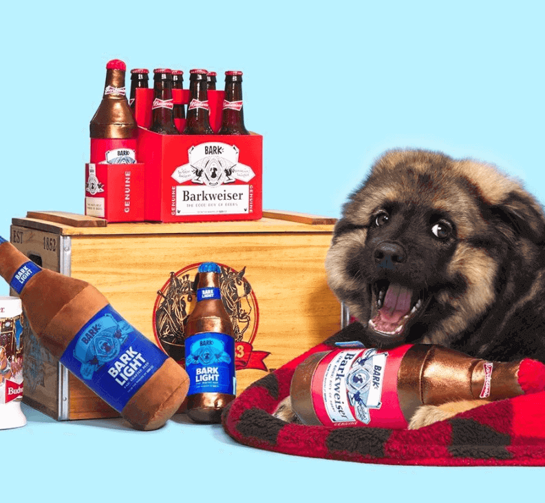 Bark Box Details and Review (2024)