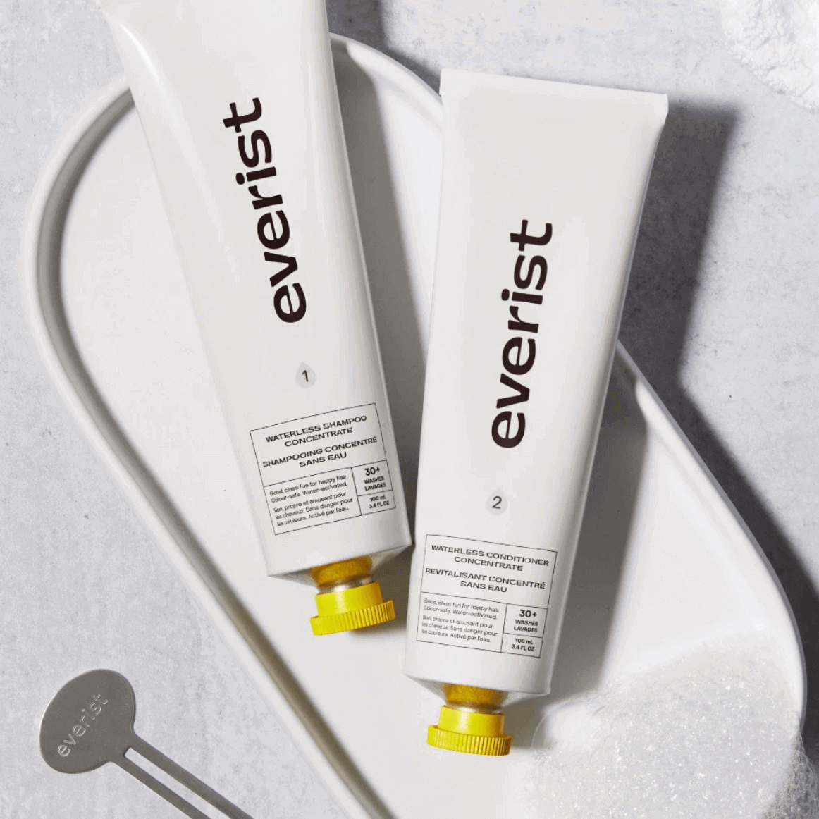 Everist Details and Review (2024)