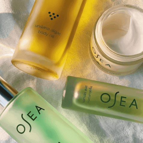 OSEA Details and Review (2024)