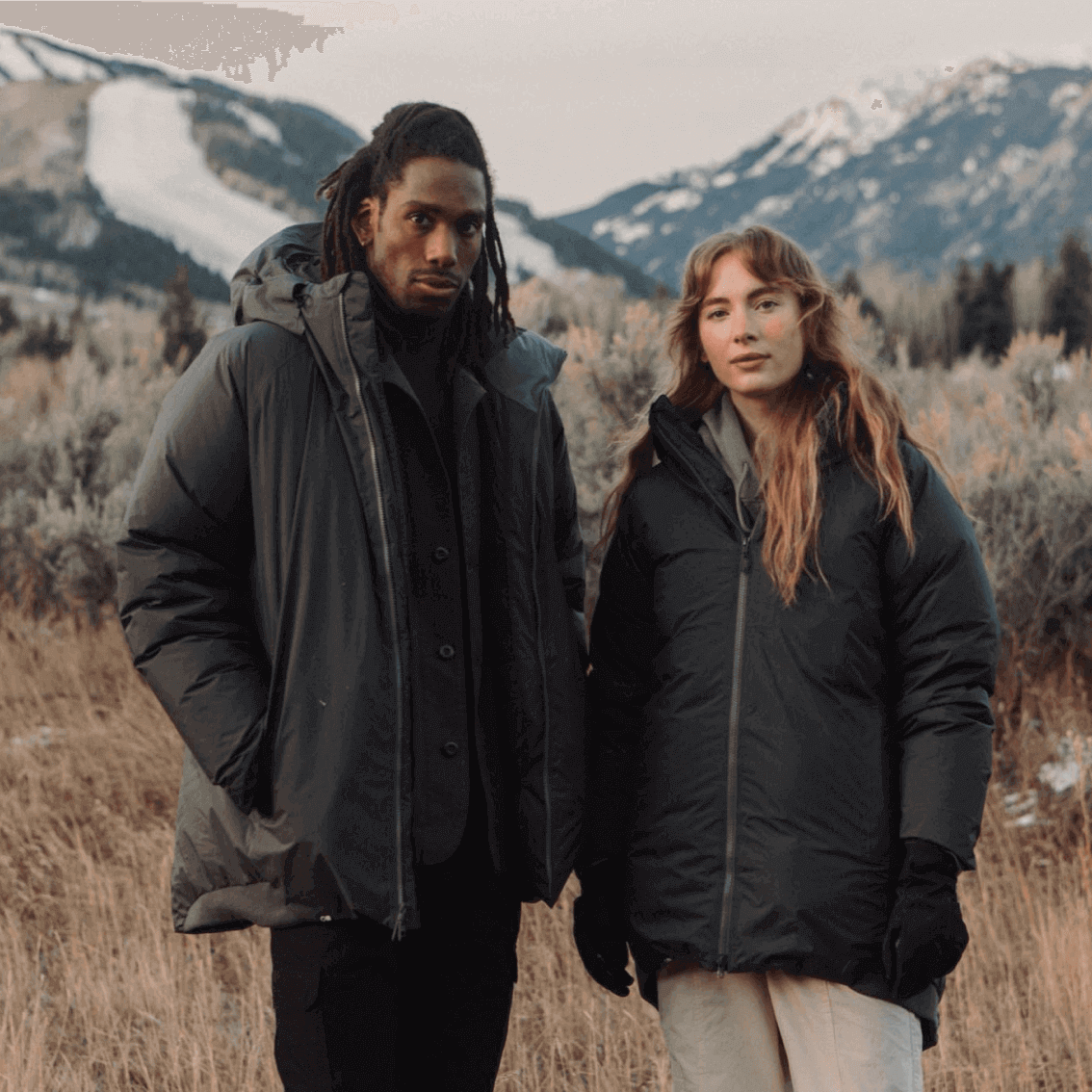 LifeLabs Details and Review (2024)