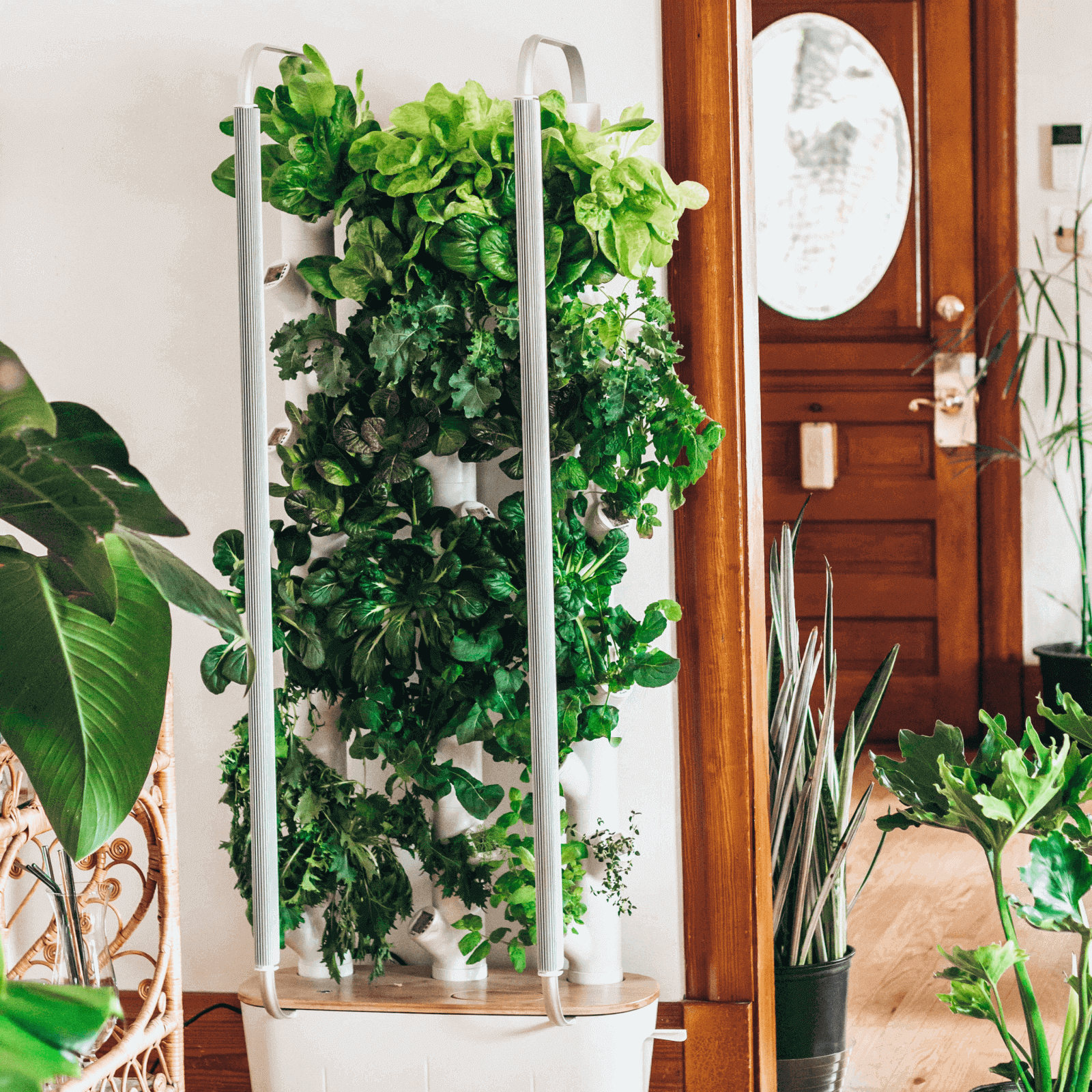 Gardyn Details and Review (2024)