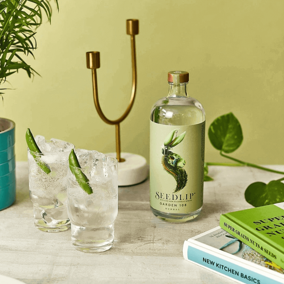 Seedlip Details and Review (2024)