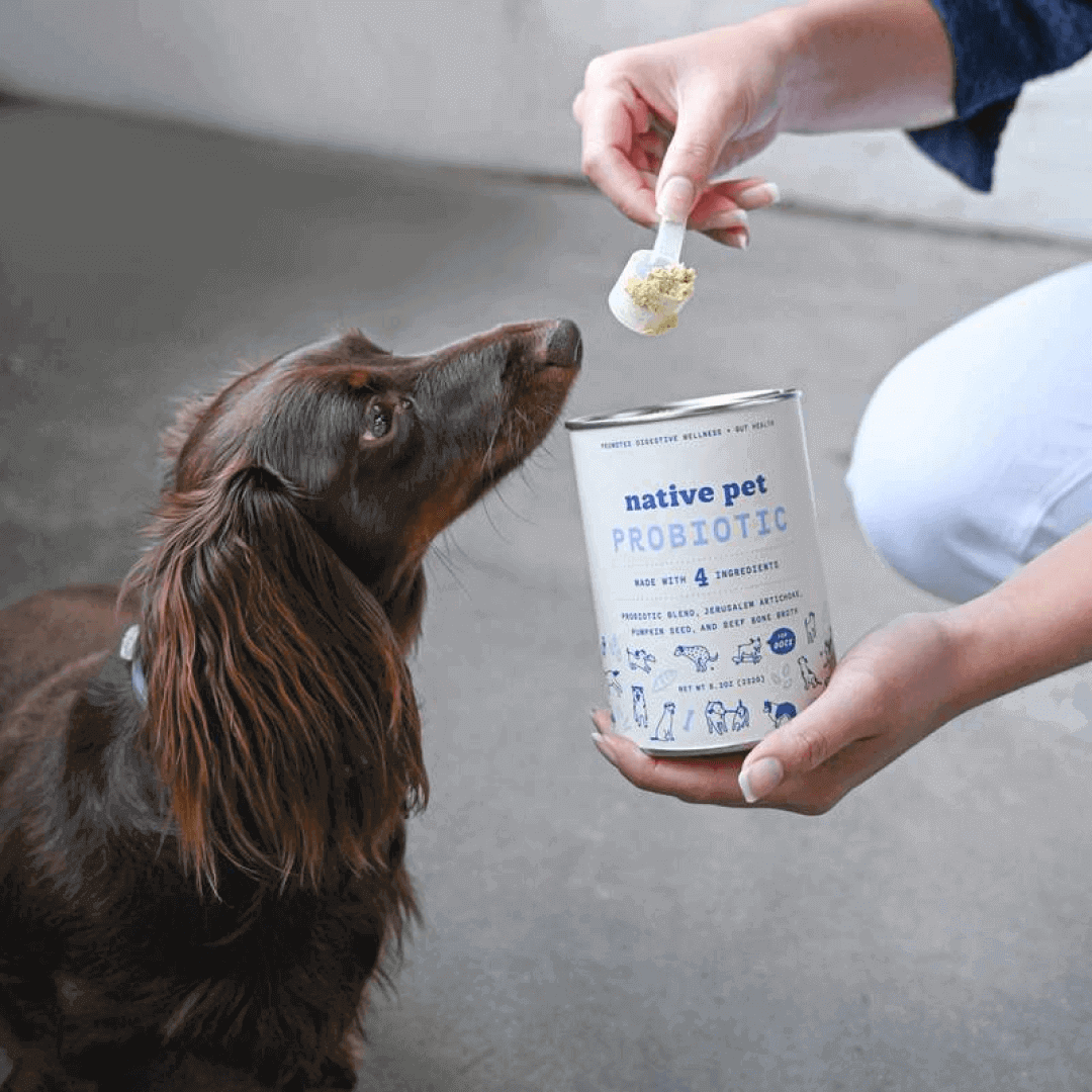 Native Pet Details and Review (2024)