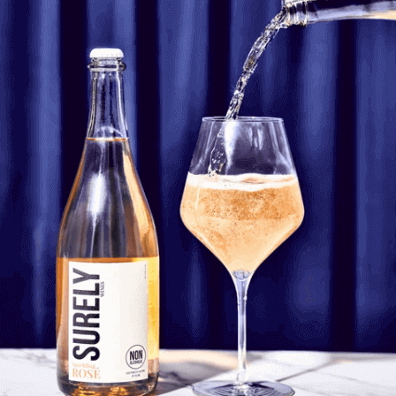 Surely Details and Review (2024)