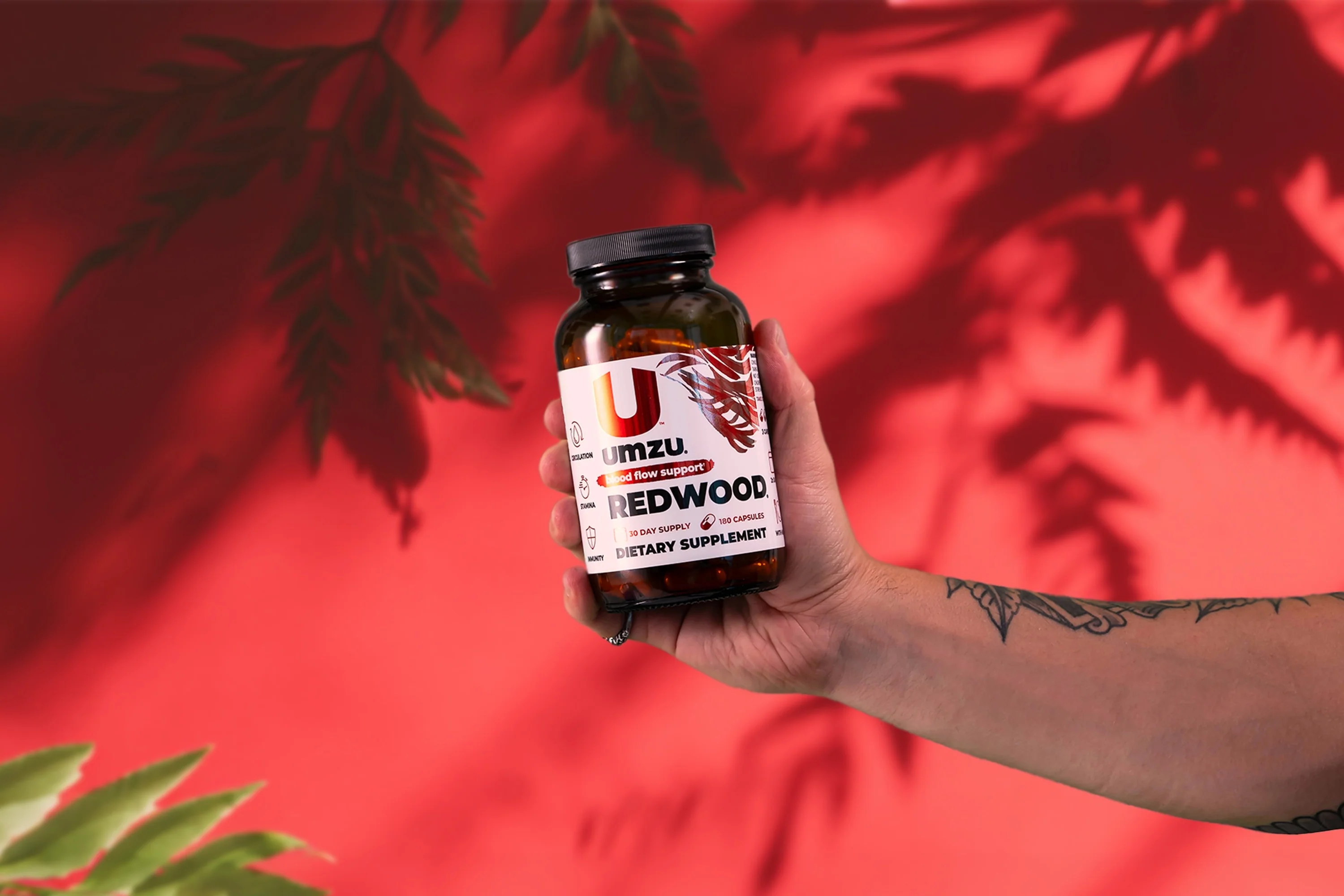 Umzu Details and Review (2024)