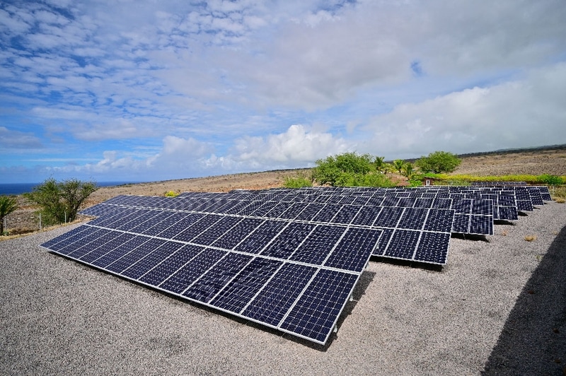 Scaling Reforestation with Solar-Powered Desalination | Terraformation Blog