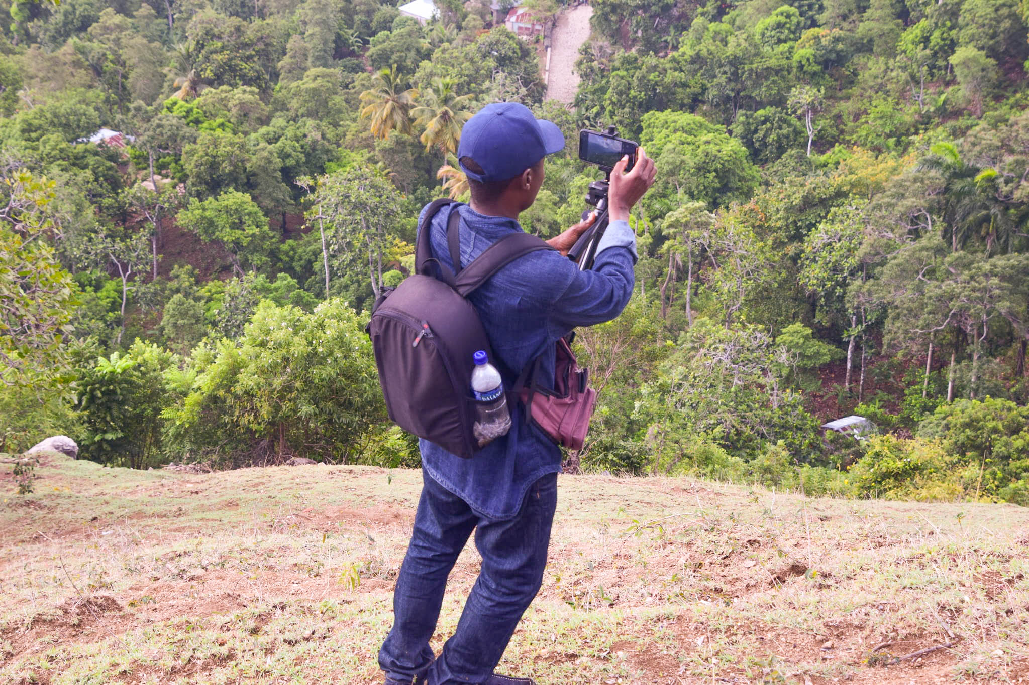 98% of Haiti’s Native Forests Are Gone. Here’s How to Bring Them Back ...