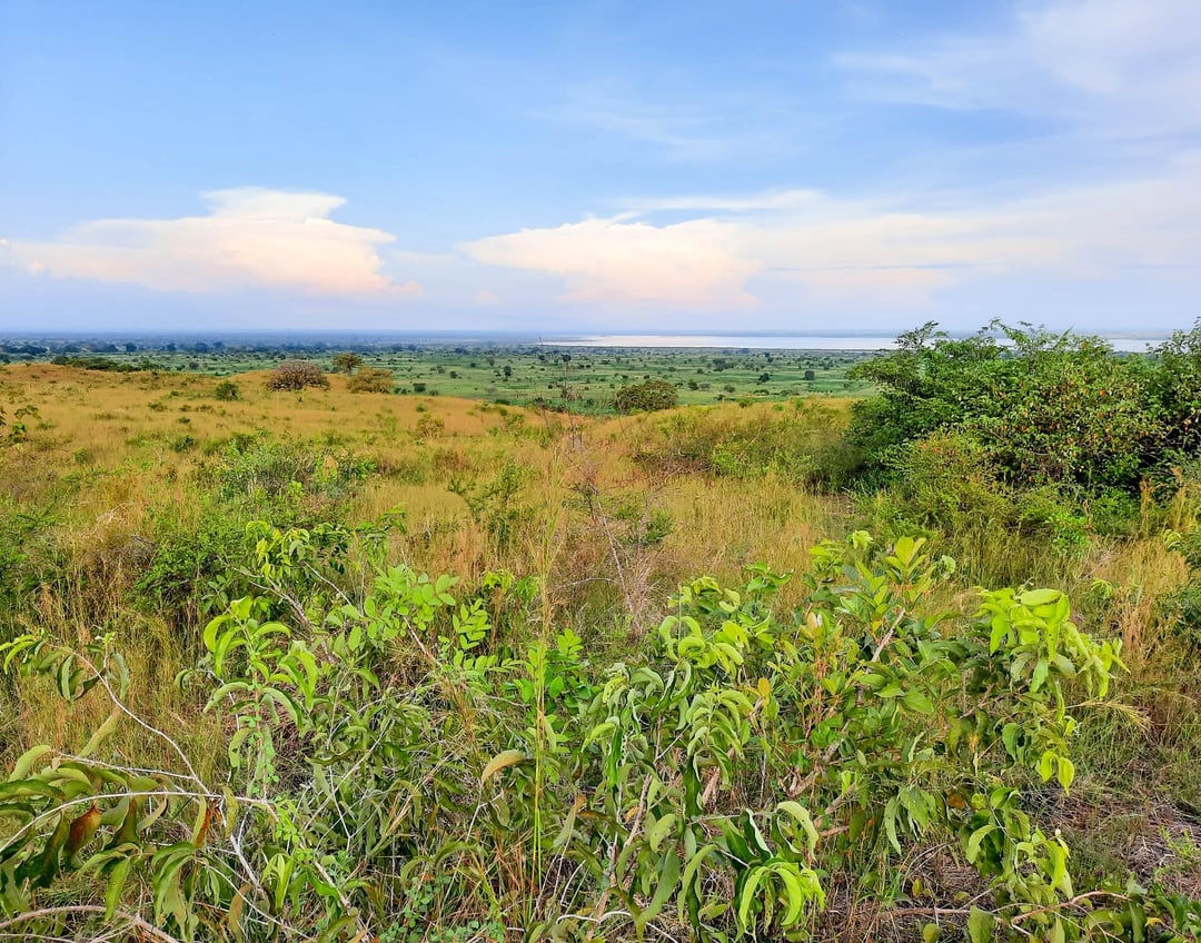 Meet Our New Partner in Uganda: Environmental Defenders ...