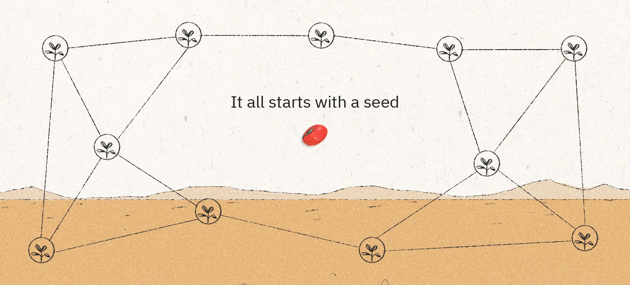 Here’s How Seed Banking Can Help Solve Climate Change | Terraformation Blog