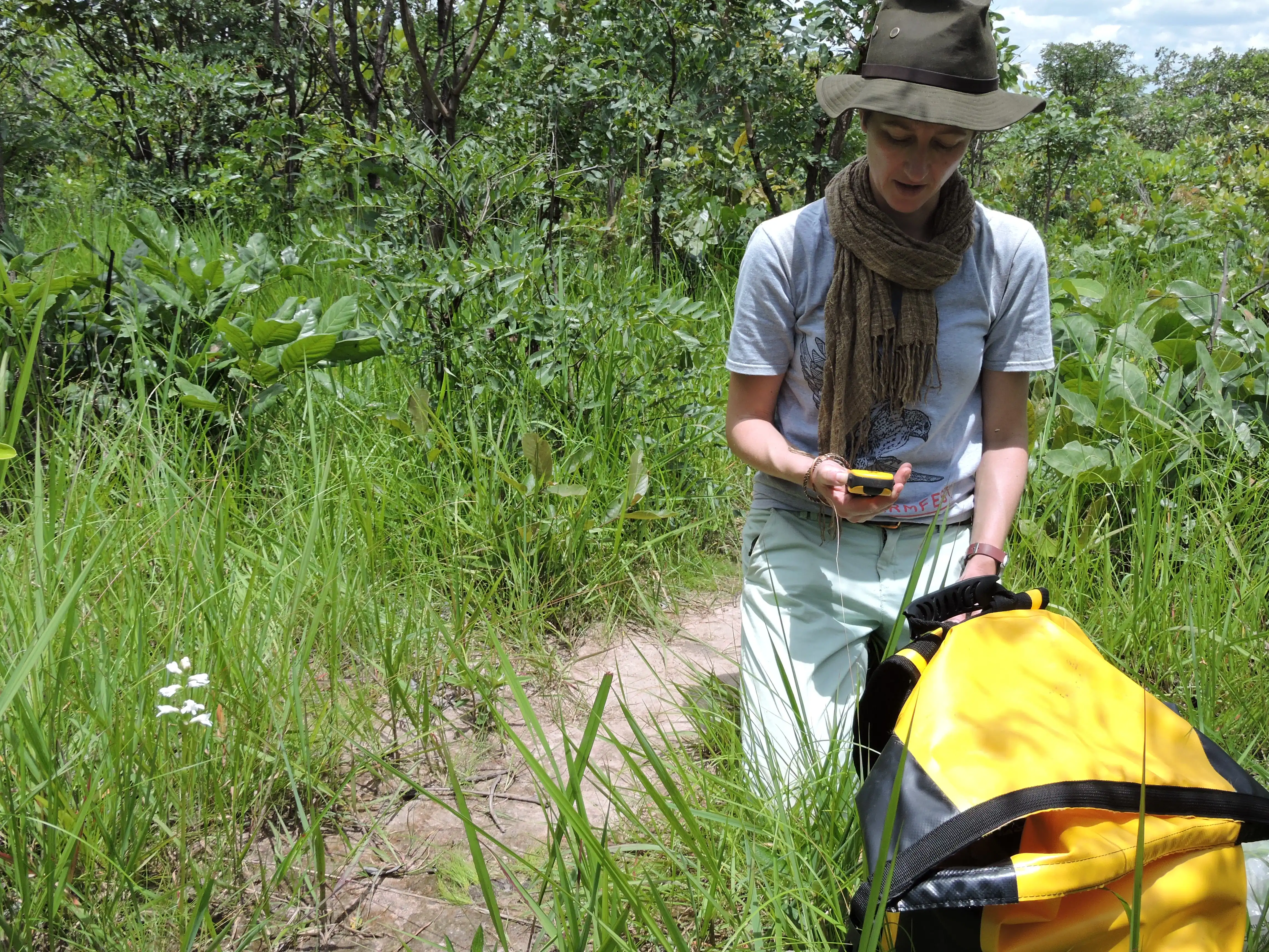 Meet Dr. Ruth Bone — Forestry Partnerships Lead | Terraformation Blog