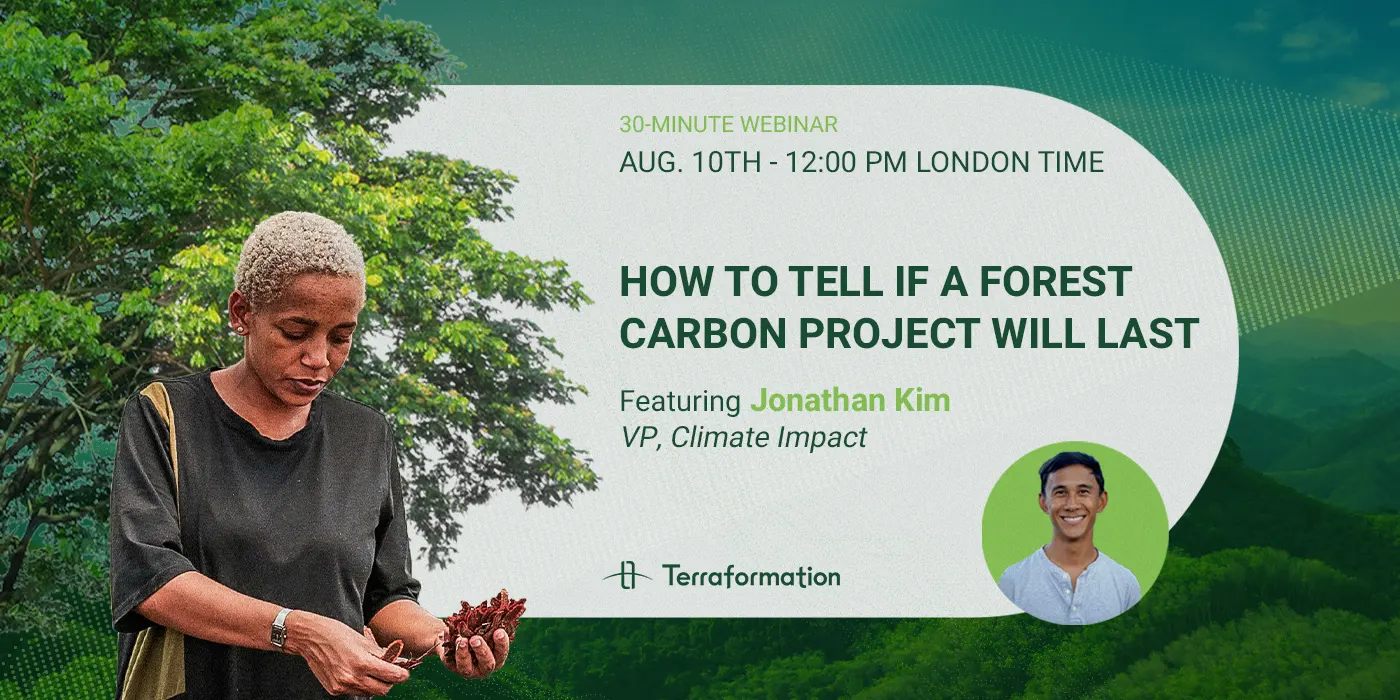 These Are the Biggest Challenges Faced by Restoration Projects ...