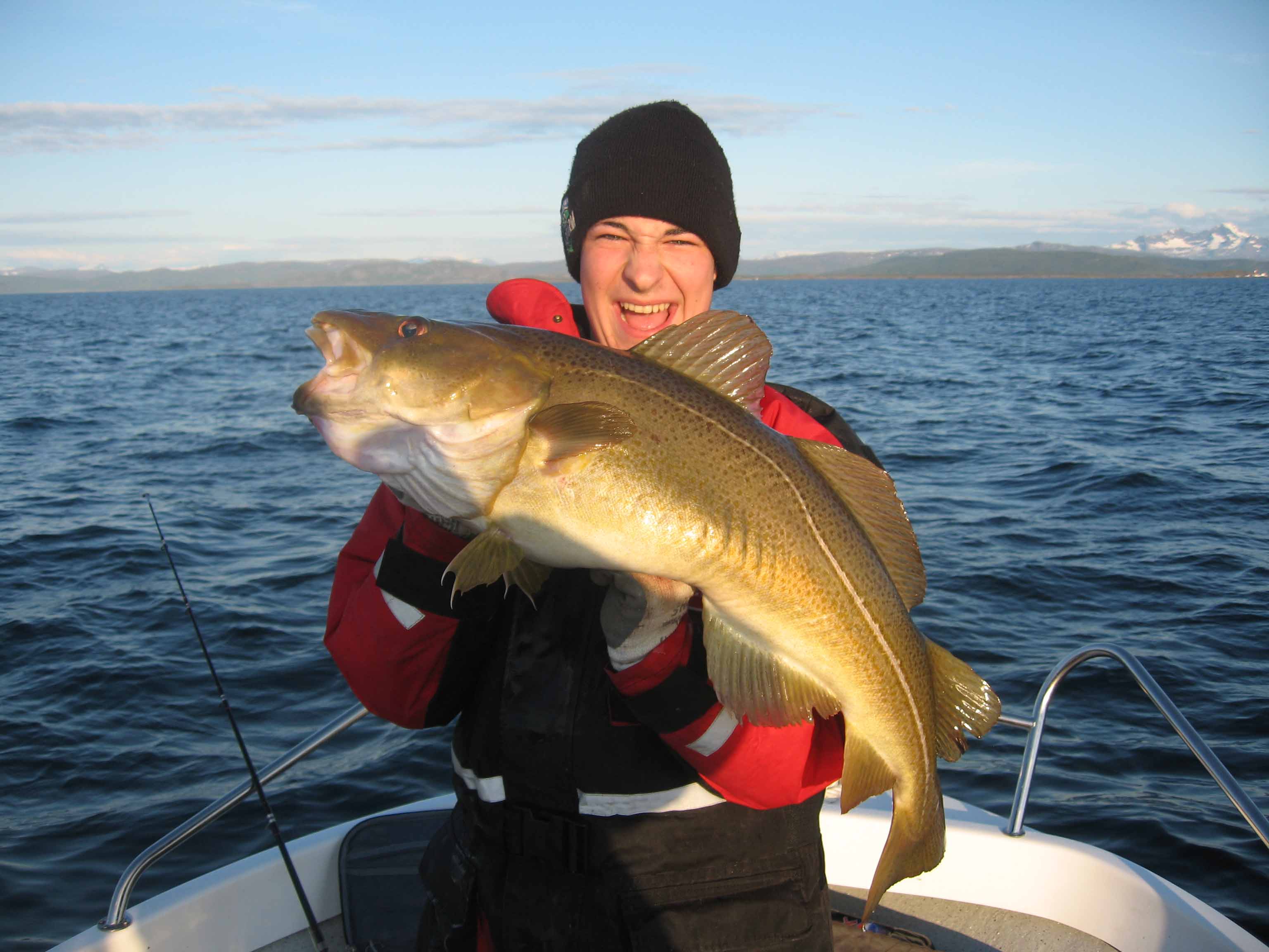 Lofotfiske i Lofoten og Vesterålen