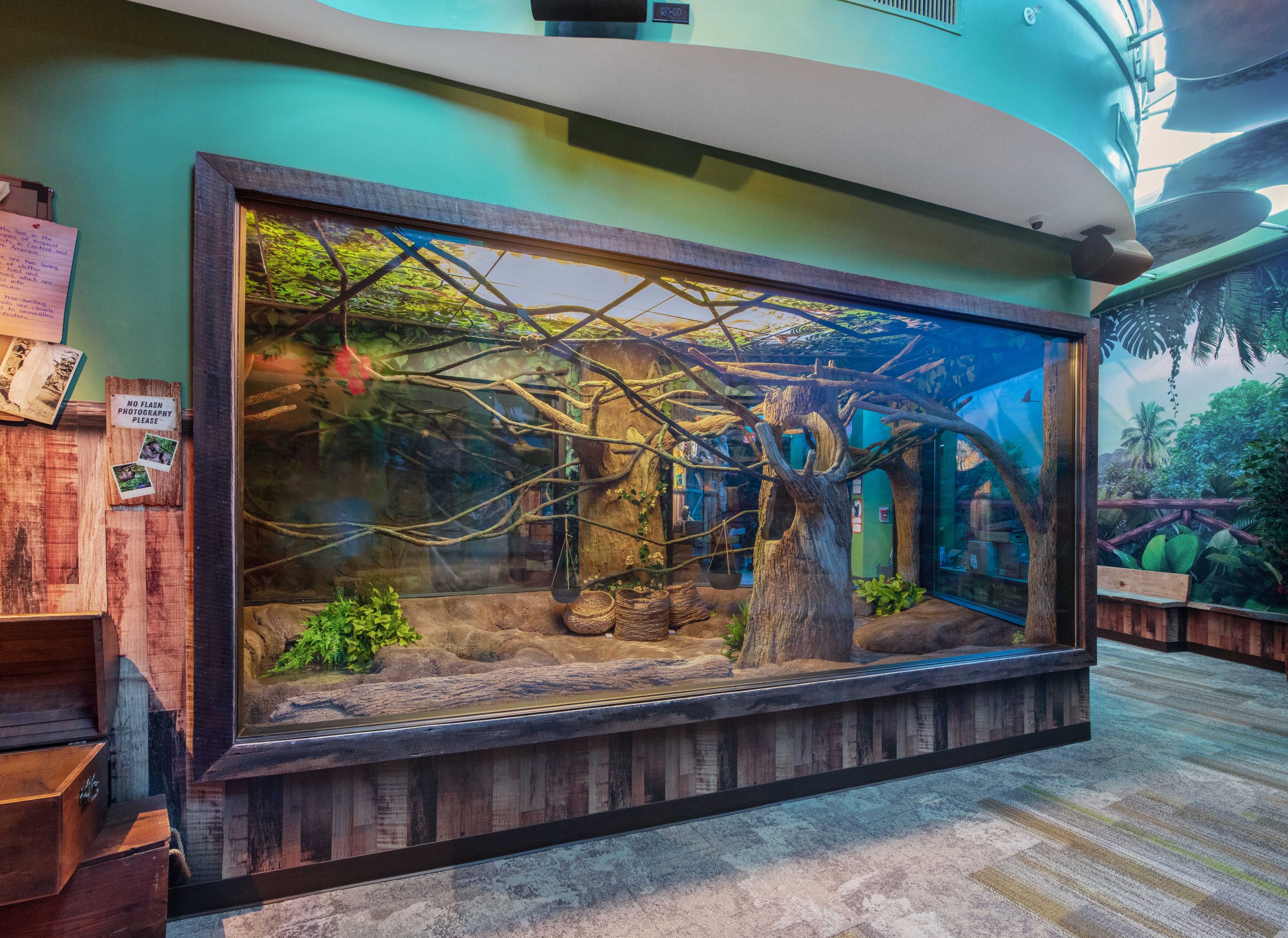 Project - Ripley's Aquarium