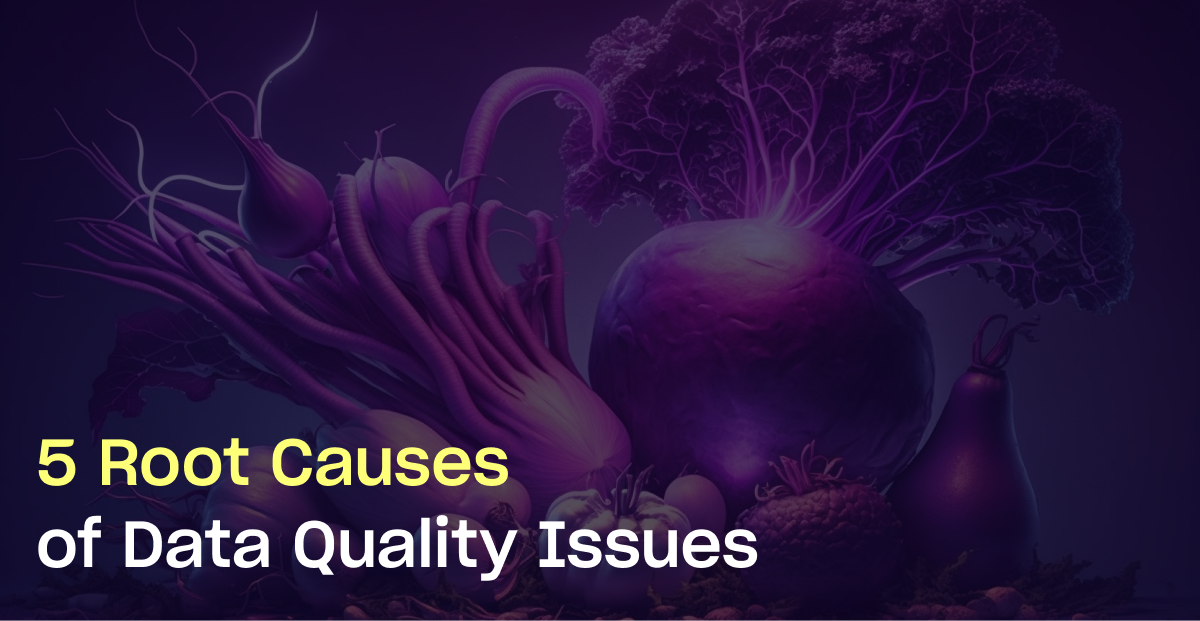The Root Causes of Data Quality Issues | Metaplane