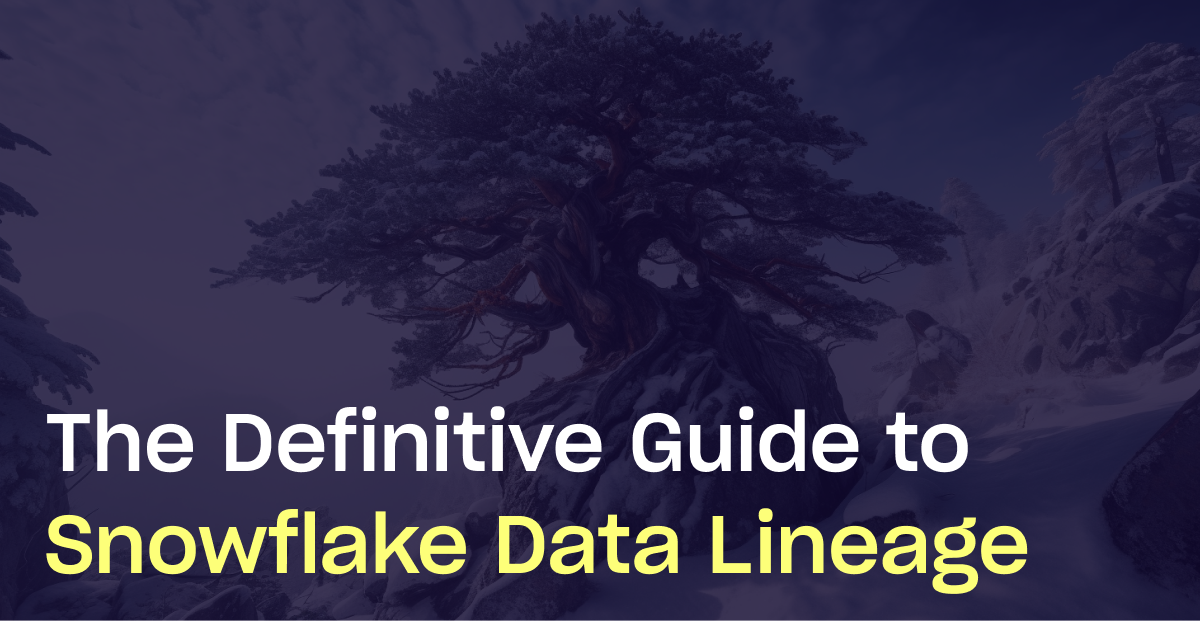 The Definitive Guide to Snowflake Data Lineage | Metaplane