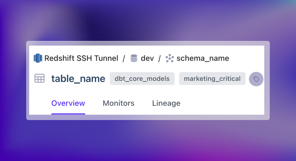 Introducing Tags in Metaplane | Metaplane