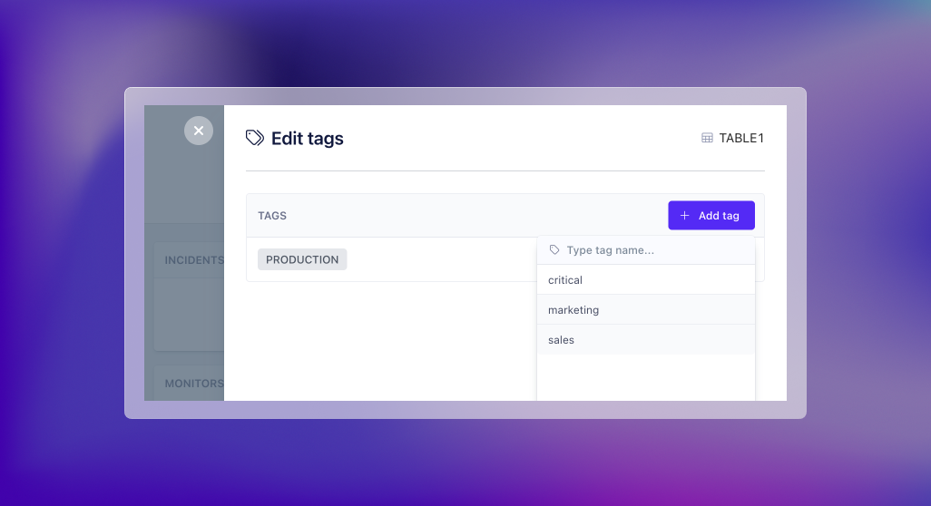 Introducing Tags in Metaplane | Metaplane