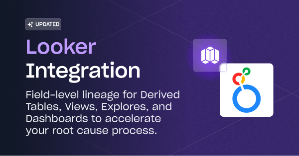 Integration update: Looker lineage now includes View and Explore fields | Metaplane