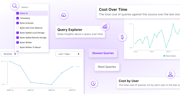 New feature: Data insights | Metaplane