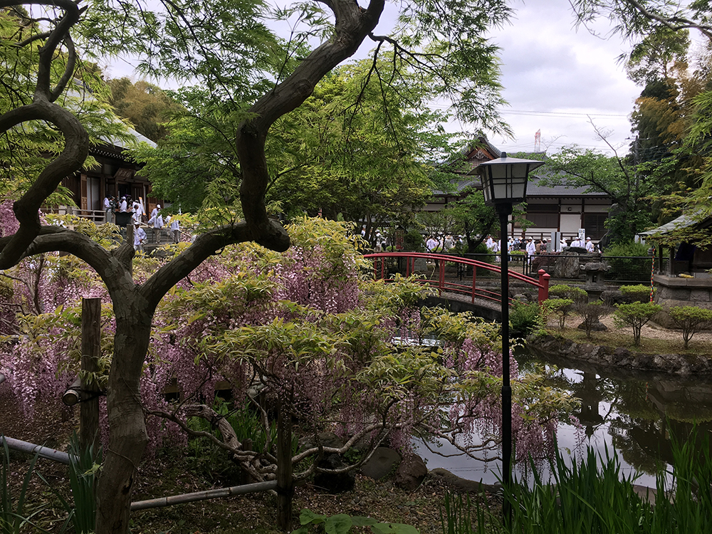Explore the City with Malte 1: The White Walkers of Kashiwa | kamon ...