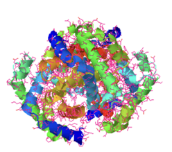 Protein Structures: A guide for the MCAT — Medistudents